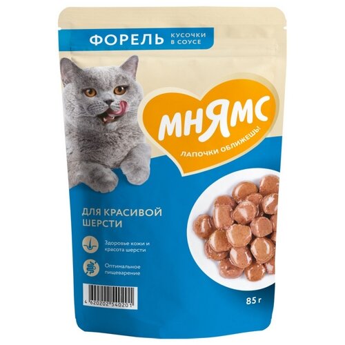 В соусе мнямс влажный корм паучи для красивой шерсти кошек кусочки (цена за упаковку) 85г х 24шт с Форелью