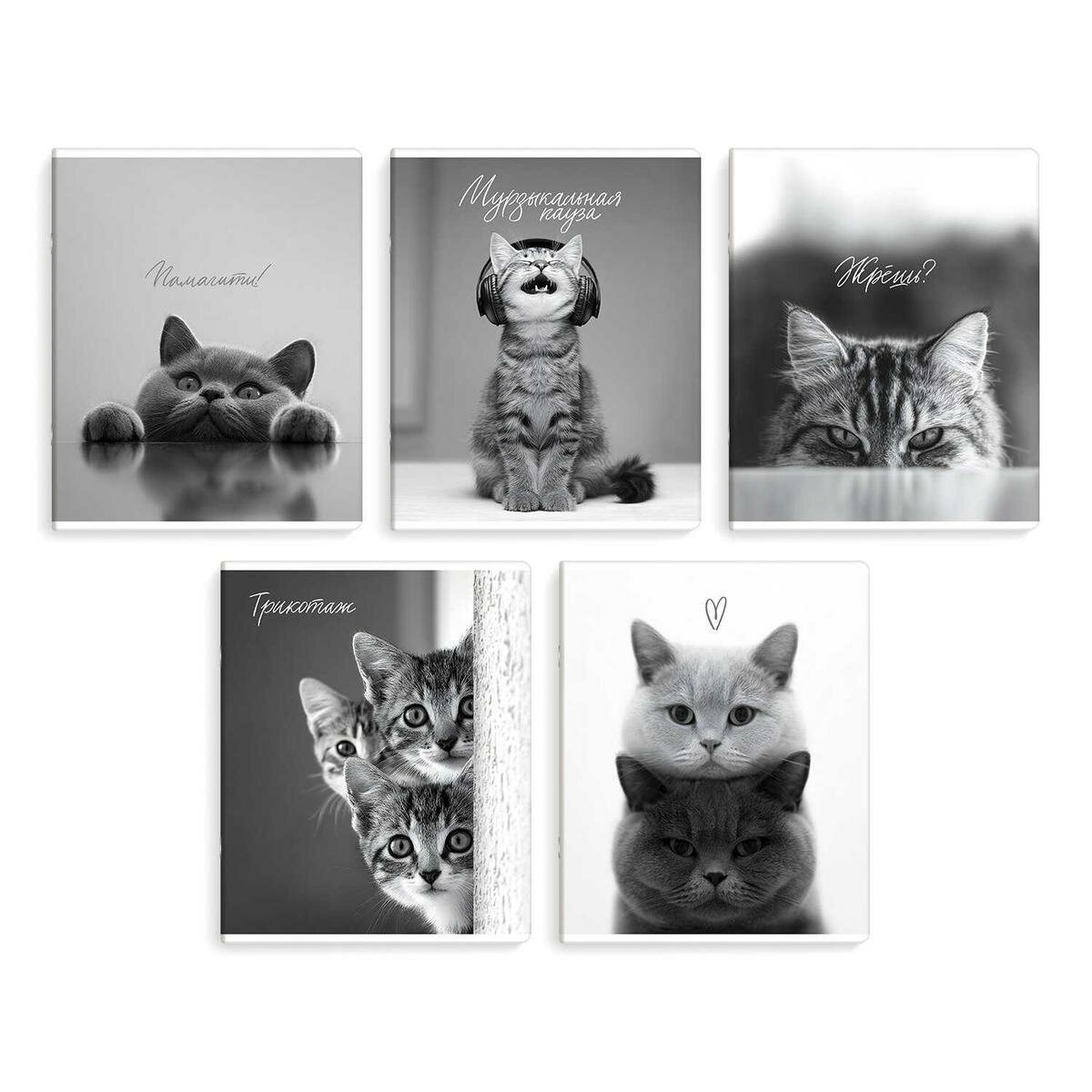 Тетрадь общая А5 48 листов в клетку "Монохромные коты", мягкий переплет на скобах, разноцветный принт