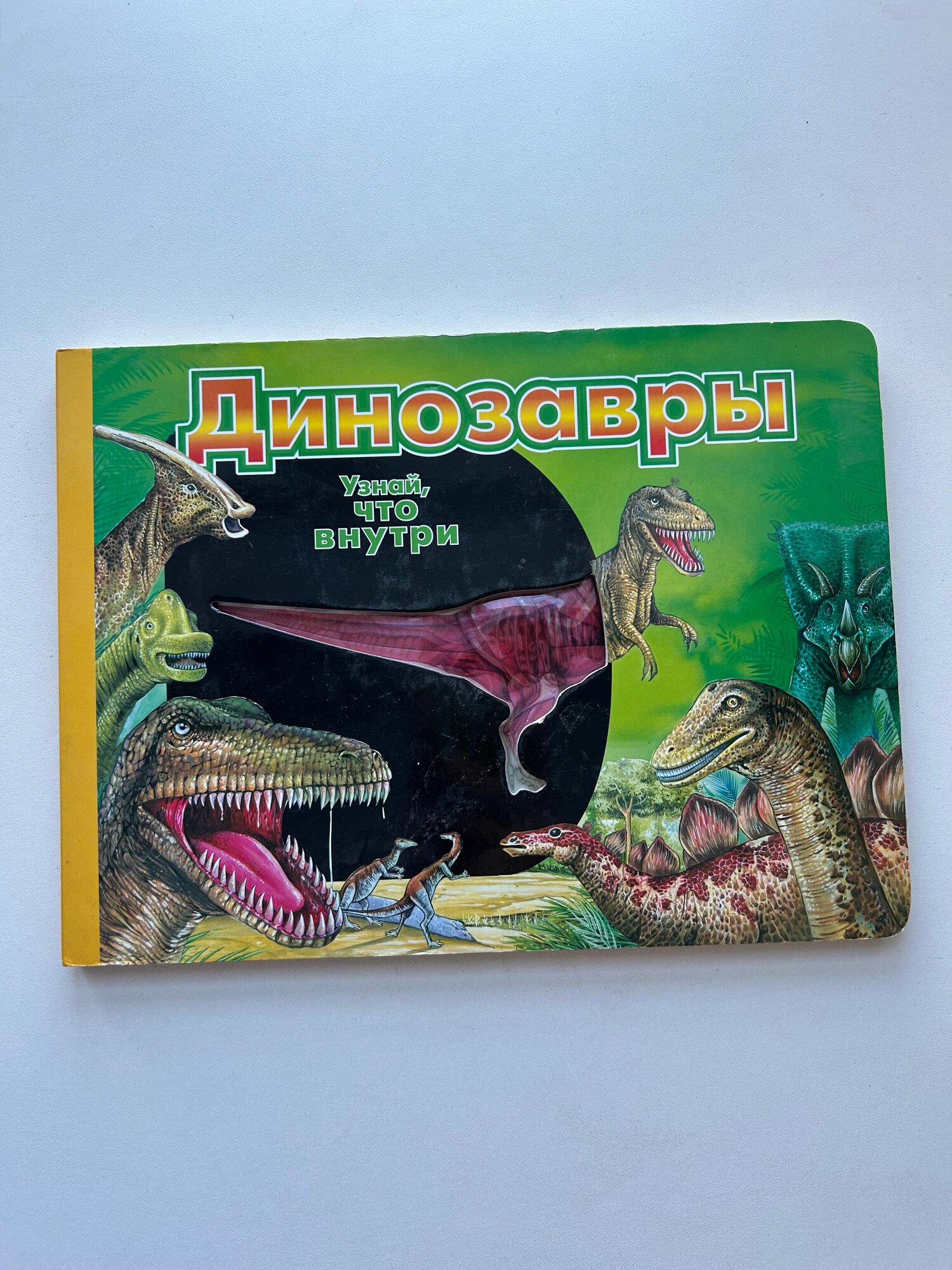 Книга Динозавры . Из серии Узнай, что внутри . Издание 2011 года (second-hand книга)