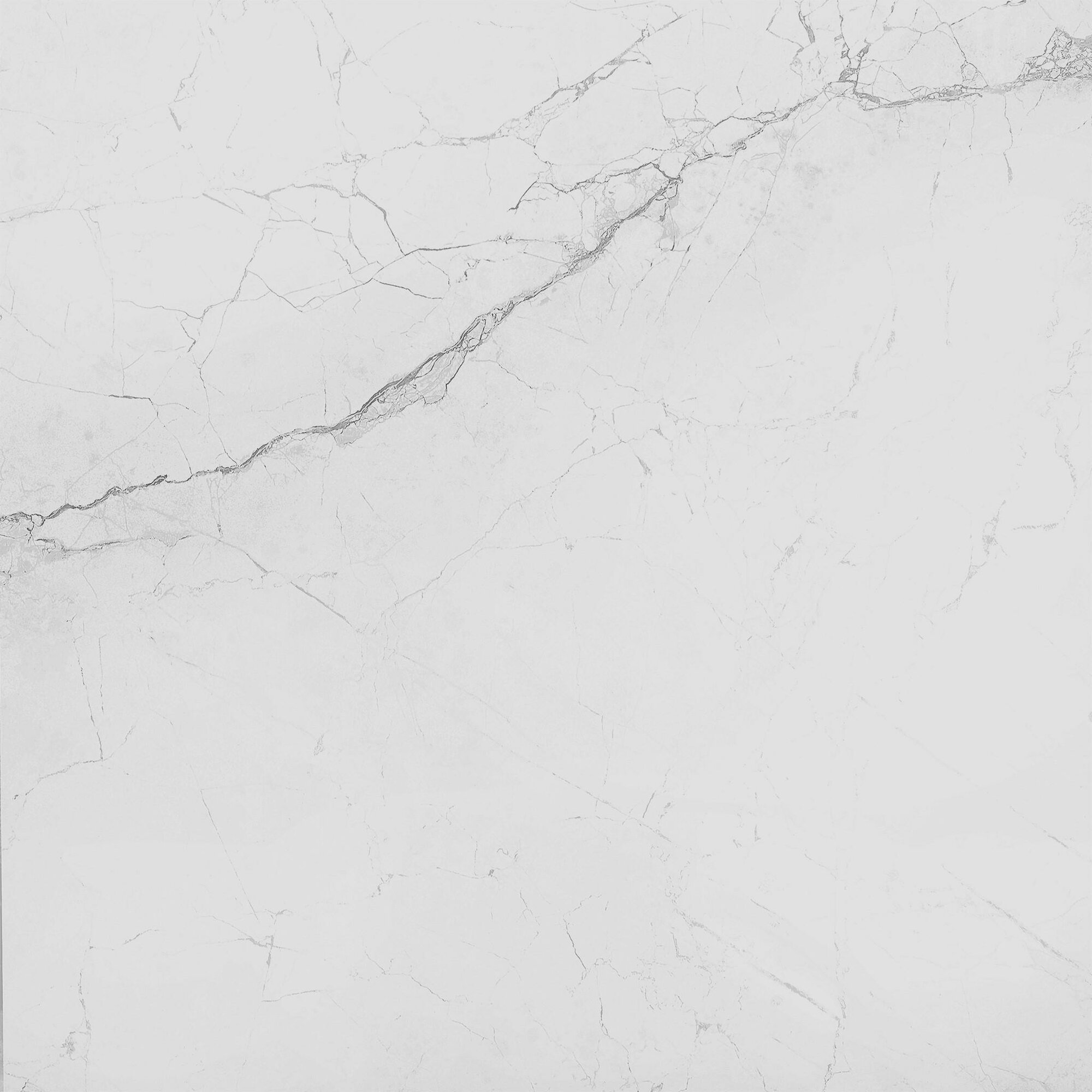 Керамогранит WellWant Special WW-1604 Carrara 60x60 см, белый, с ректификатом