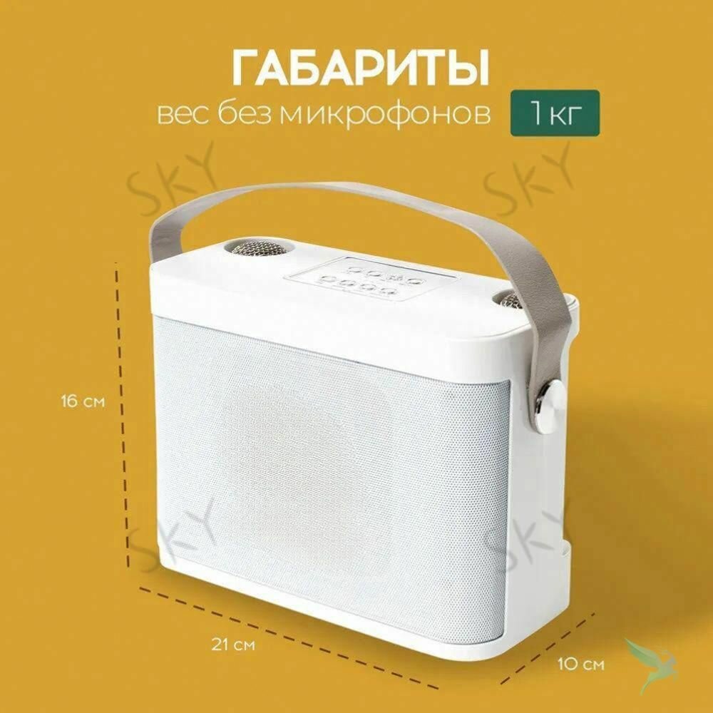 Караоке-система — фото 1