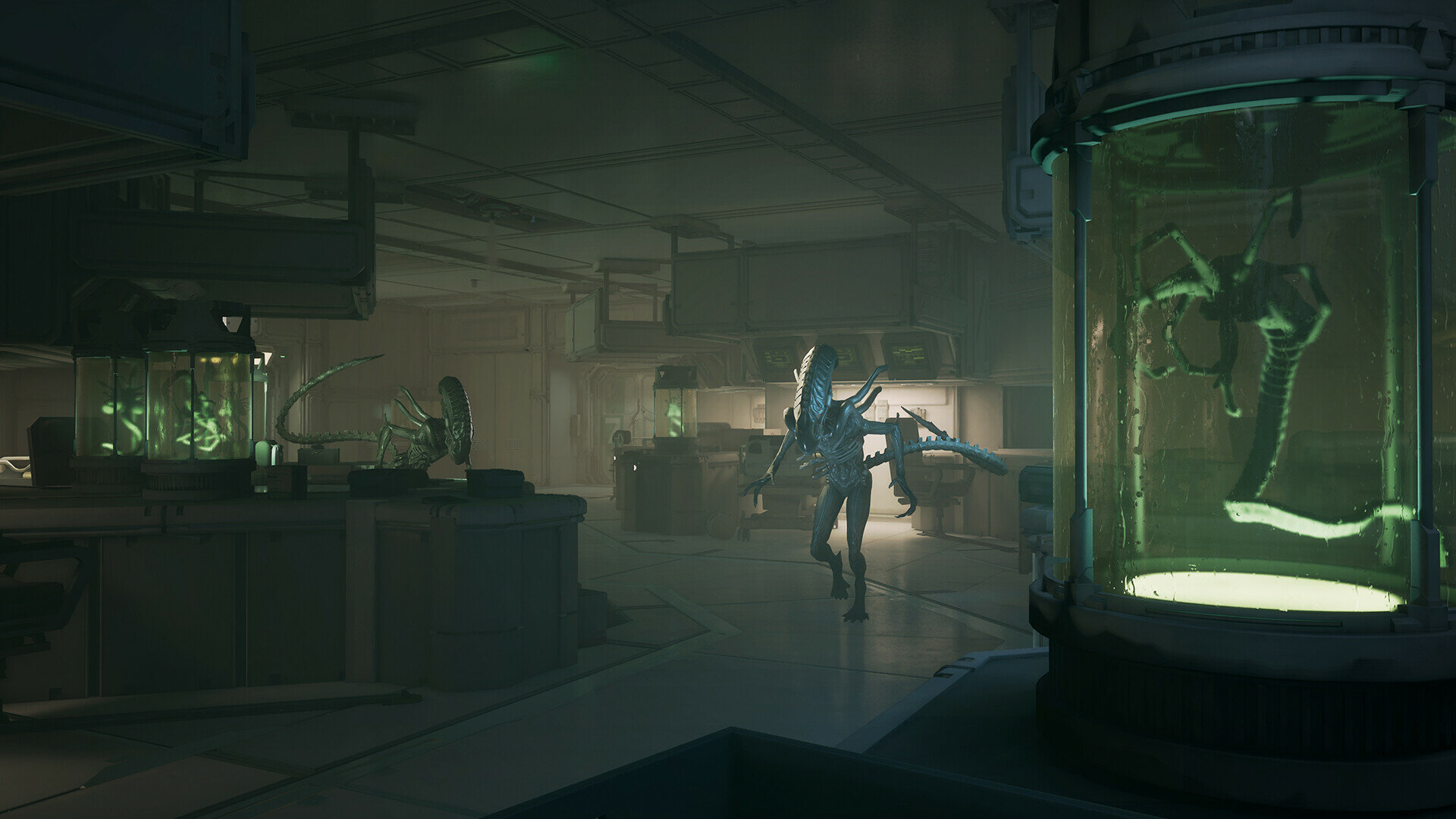 Alien: Rogue Incursion Evolved Deluxe-издание PC Steam Аккаунт