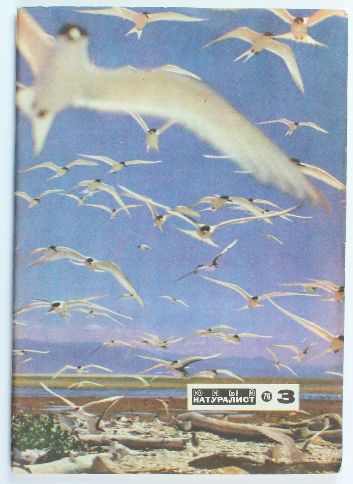 Винтажный журнал СССР Юный Натуралист, выпуск 03/1976