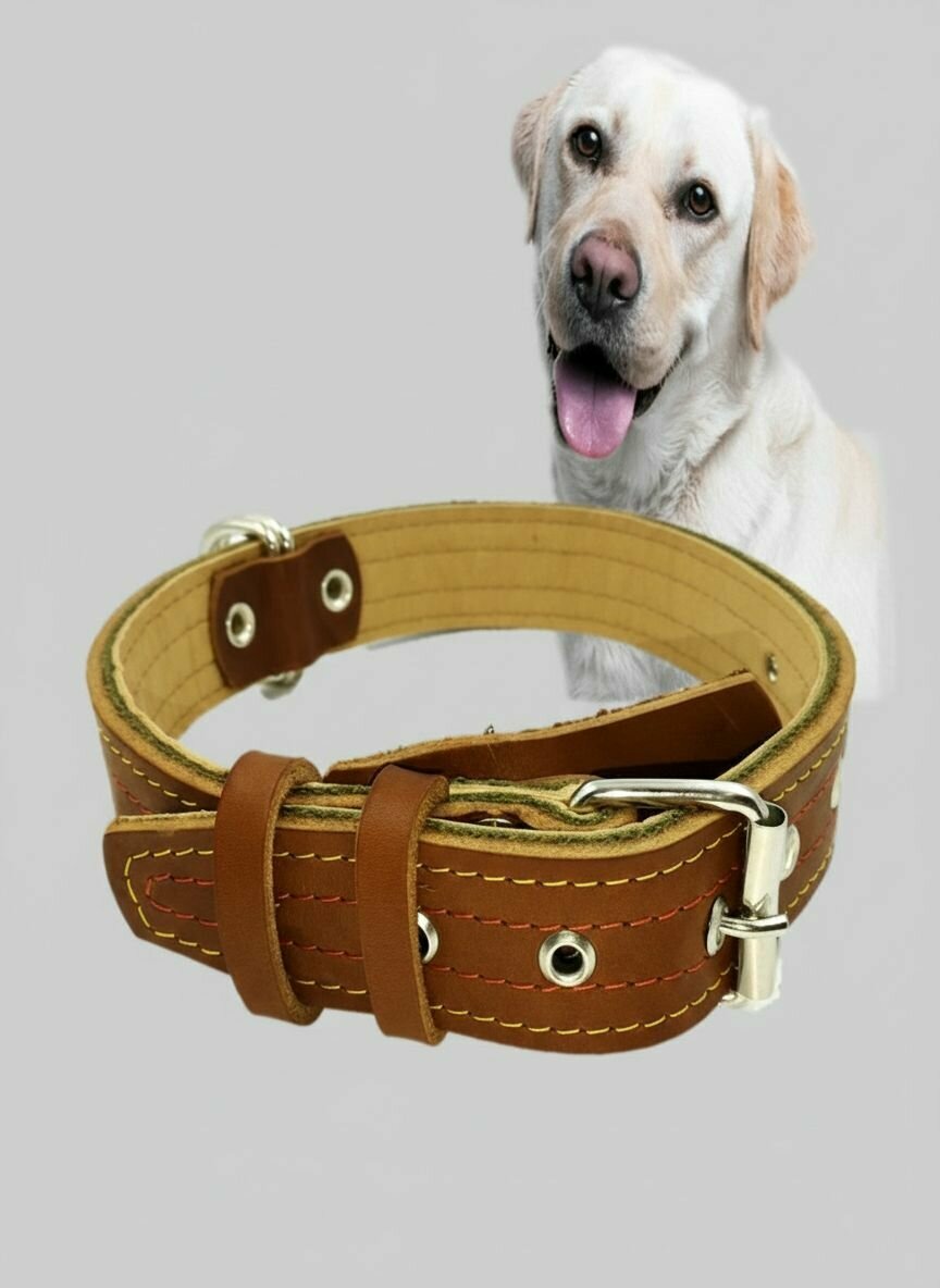Ошейник для собак крупных пород кожаный широкий крепыш малыш