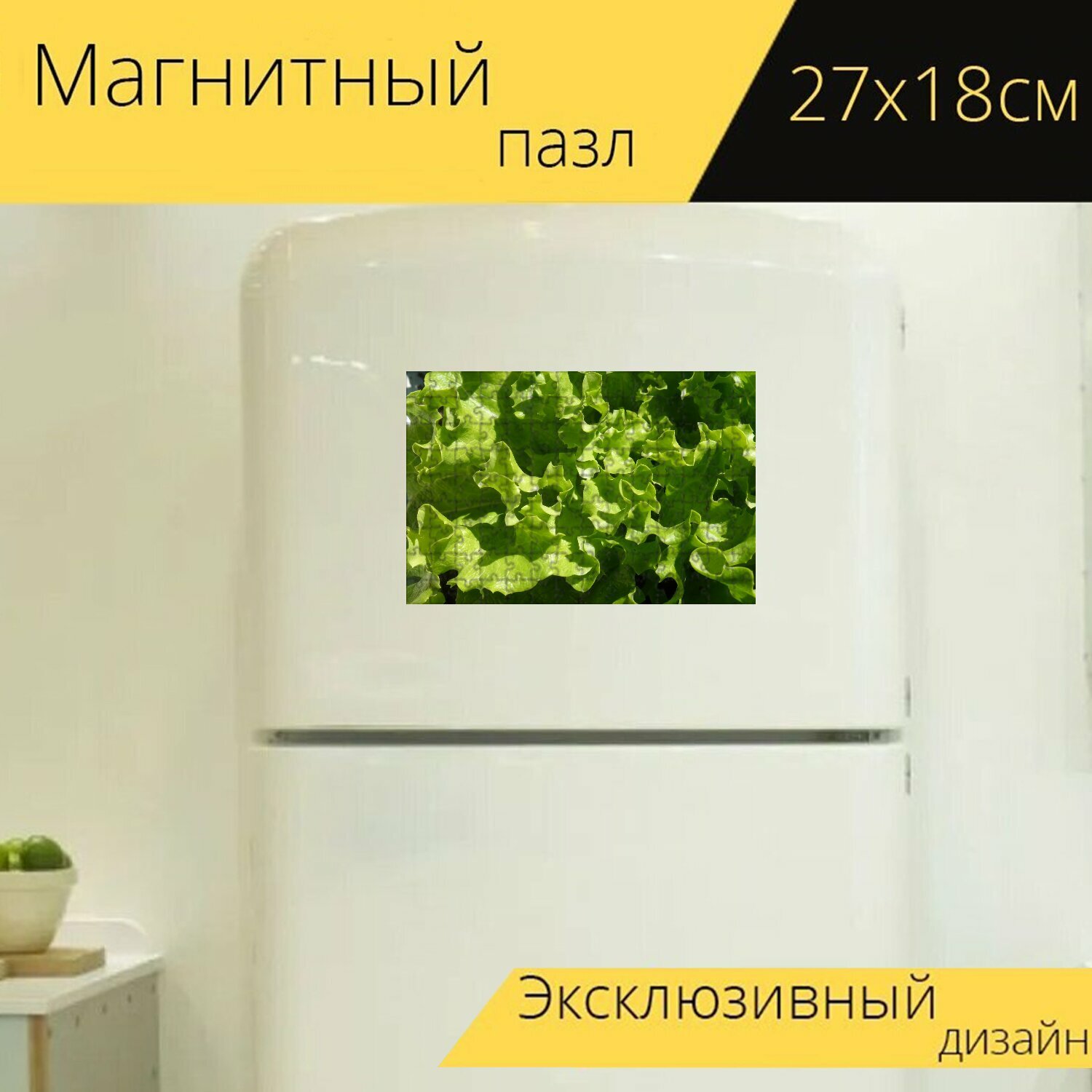 Магнитный пазл "Еда, салат выращивают, овощ" на холодильник 27 x 18 см.