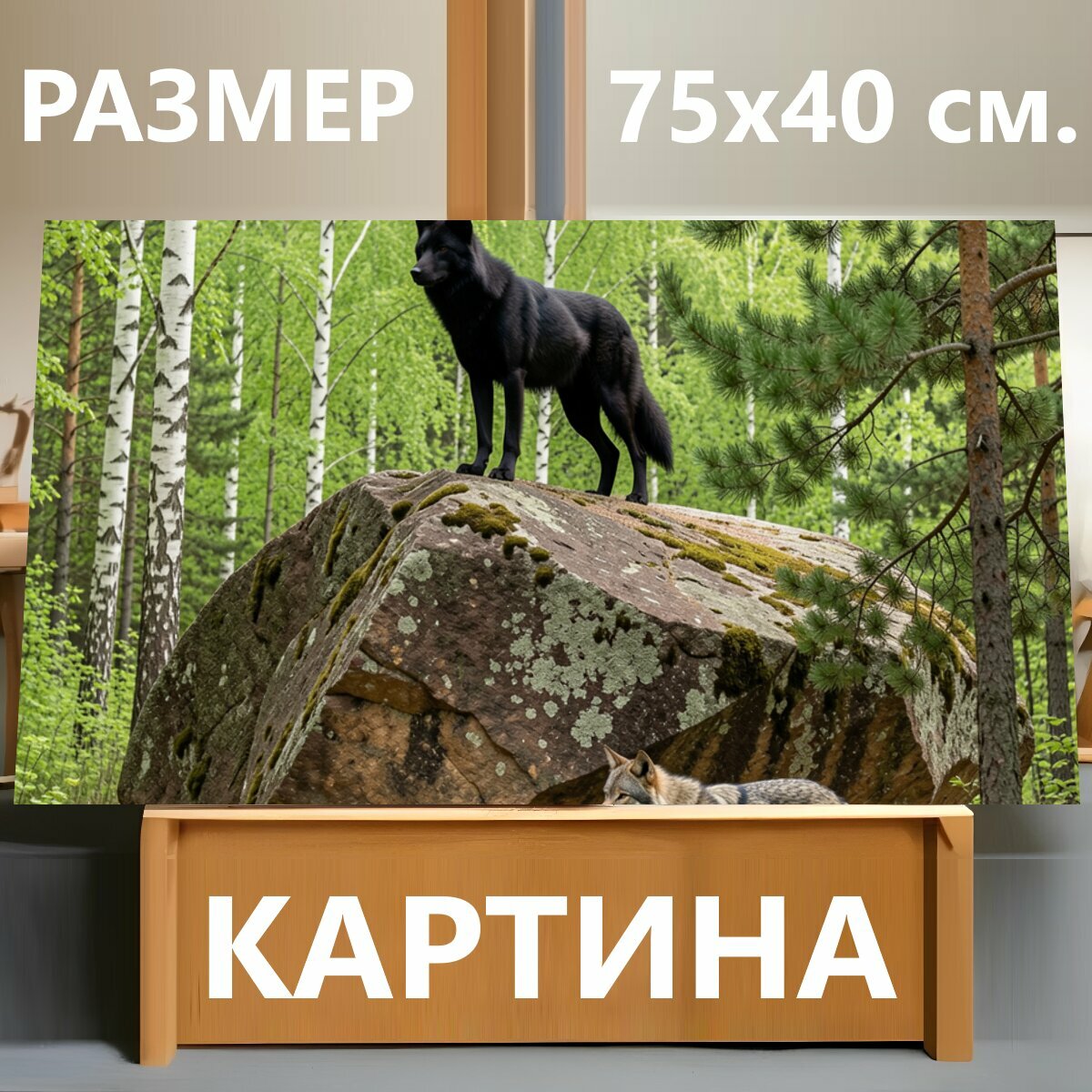 Картина на холсте "Волк в лесу на камне. Дикий лесной сюжет с черным хищником на большом валуне и серым собратом в березово-сосновом бору." на подрамнике 75х40 см. для интерьера