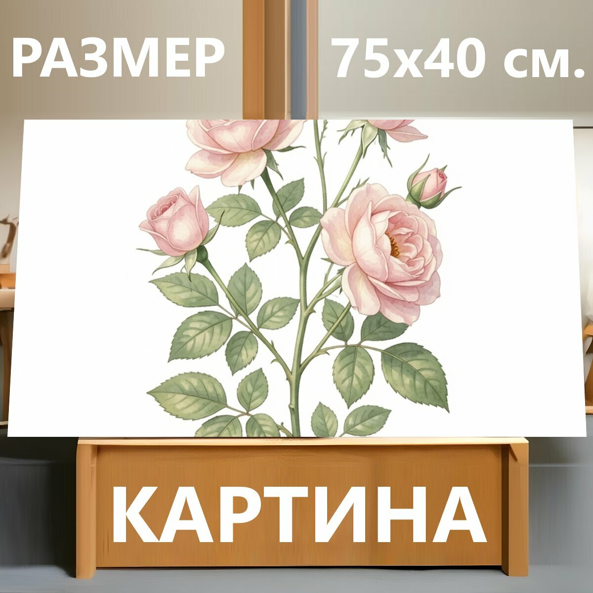 Картина на холсте "Нежная ветка роз с бутонами. Изящная ботаническая иллюстрация с распустившимися цветами и молодыми бутонами, мягкие." на подрамнике 75х40 см. для интерьера