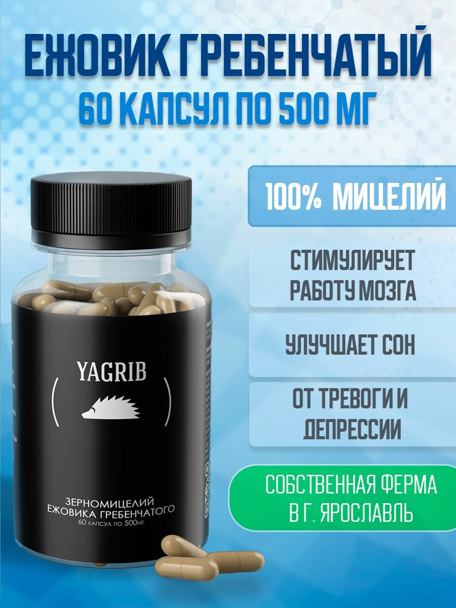 YAGRIB / Ежовик гребенчатый капсулы 100% мицелий / 60 шт. по 500 мг.