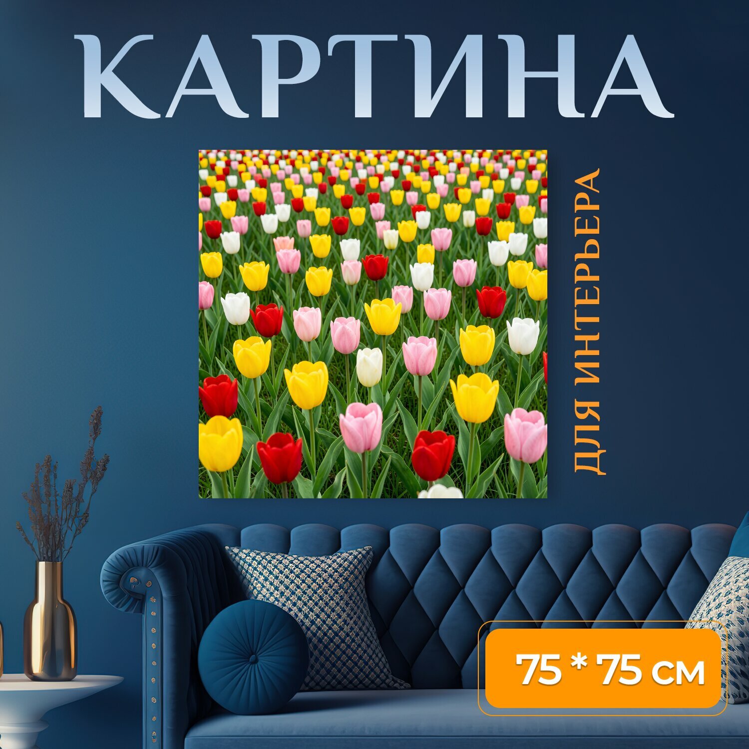 Картина на холсте "Разноцветные тюльпаны на лугу. Яркое весеннее цветочное поле с множеством нежных бутонов в красных, жёлтых, белых и розовых." на подрамнике 75х75 см. для интерьера