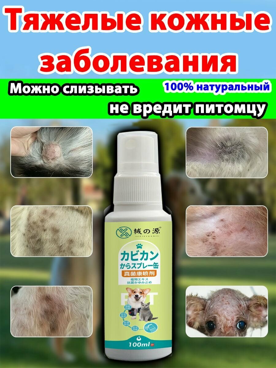 Спрей для лечения грибковых заболеваний кожи у кошек и собак, 100 мл