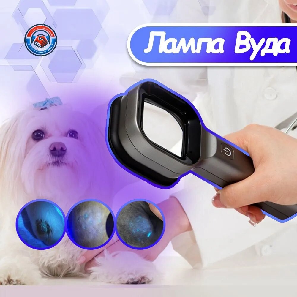 Ветеринарная лампа Вуда, портативный дерматоскоп для выявления грибка, бактерий и пигментации кожи у животных, диагностика инфекций и травм глаз в клинике и на дому
