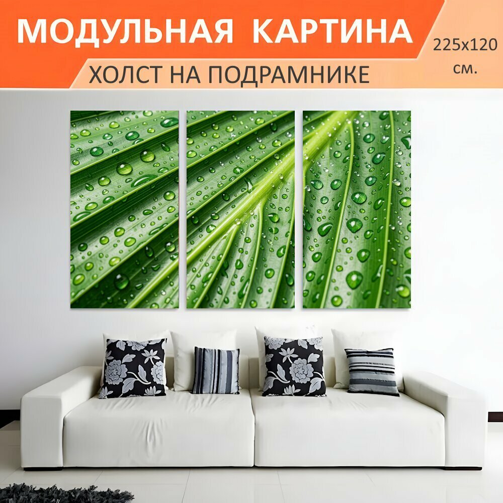 Модульная картина на холсте "Зелёные листья с каплями воды. Макрофотография свежей листвы с россыпью прозрачных капель, сочные." триптих на подрамнике 225х120 см. для интерьера