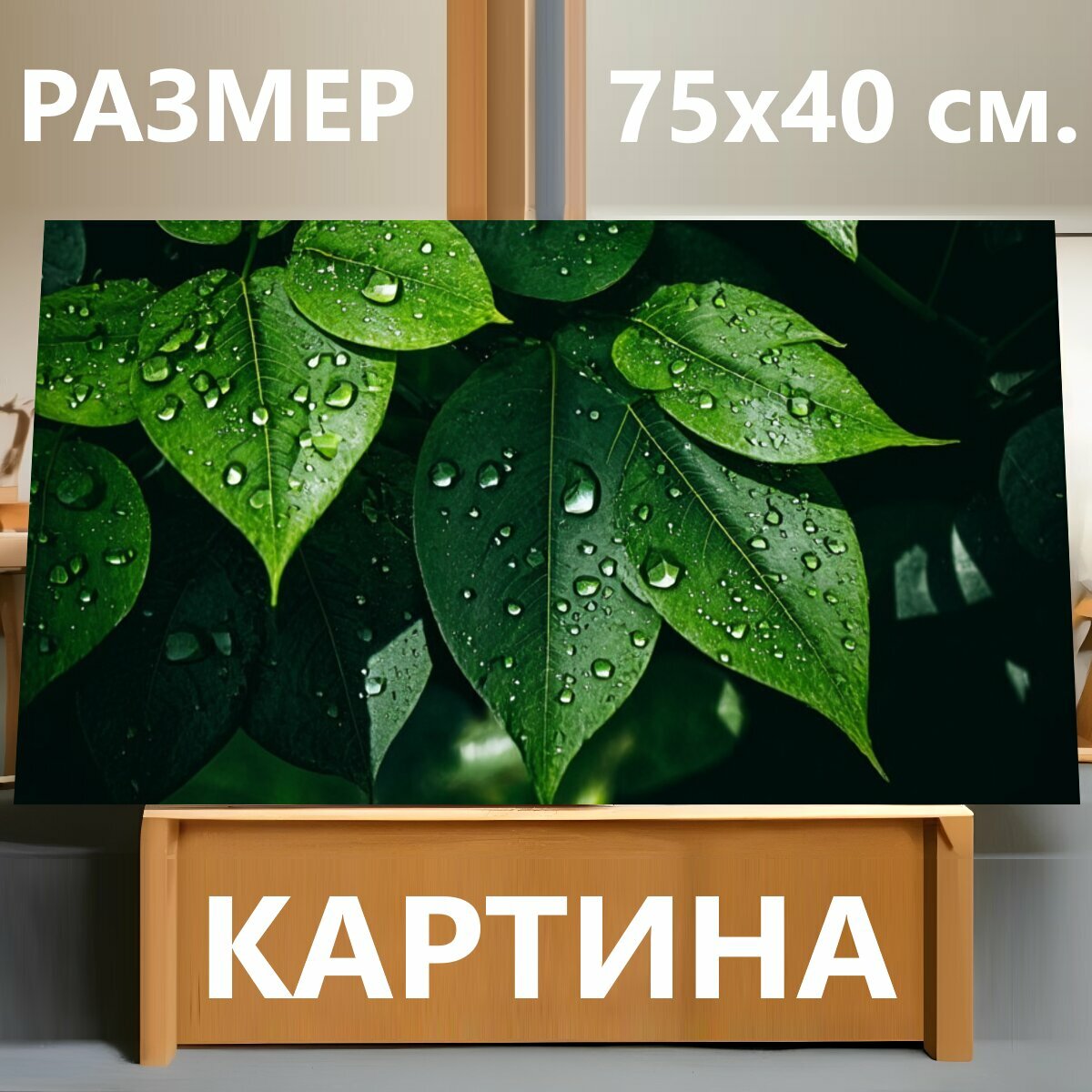 Картина на холсте "Листья темно-зеленого цвета с каплями воды на поверхности, крупный план, натуральный фон, тени и текстуры листьев." на подрамнике 75х40 см. для интерьера
