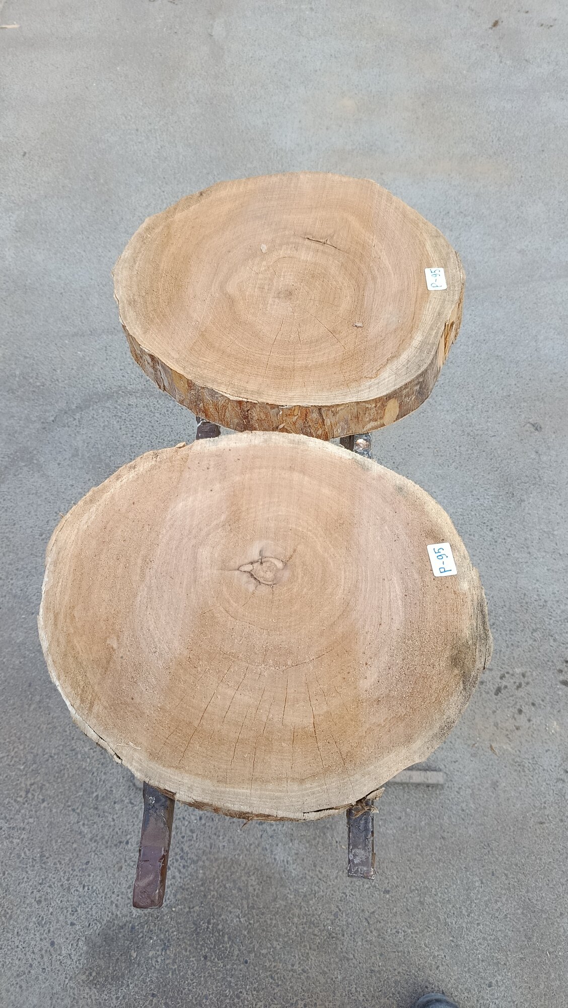 Спил из карагача, комплект из 2-ух штук ,37х33х5,5см,38х33х5,5см (Р95) высушенный не фрезерован, влажность 8-10%