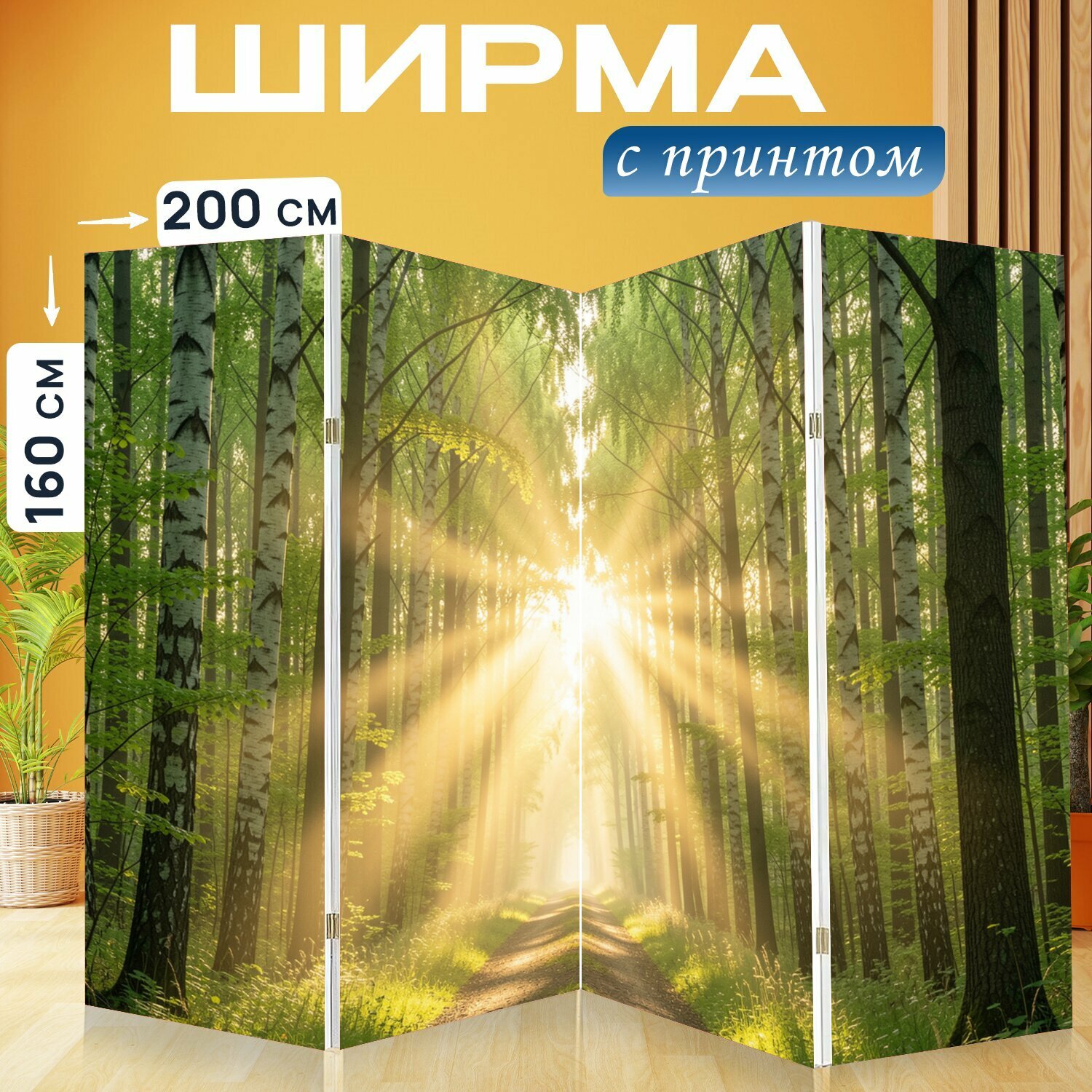 Ширма "Солнечная лесная аллея. Узкая тропа среди высоких берёз и густого зелёного леса, залитая тёплыми лучами." перегородка для зонирования комнаты с принтом 200x160 см. на холсте