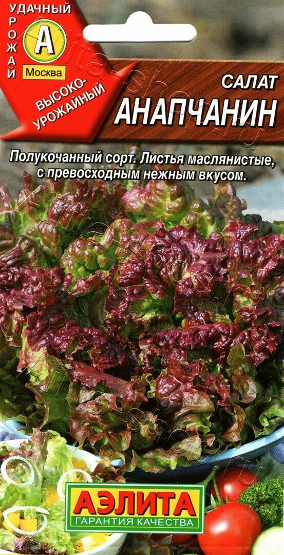 Семена салата Аэлита "Анапчанин", однолетние, полукочанные, 0,5 г