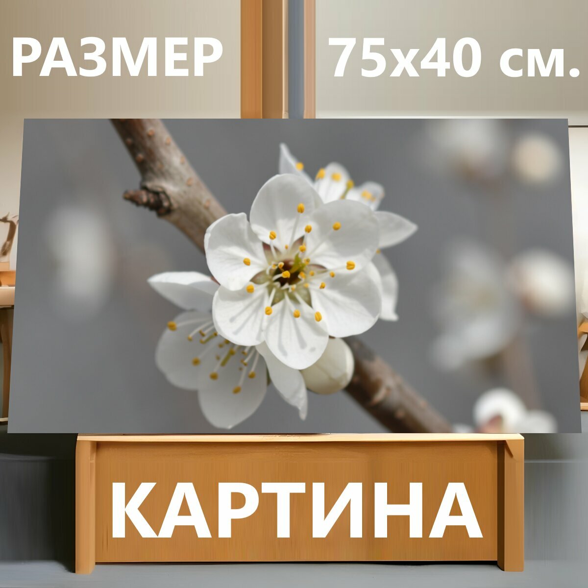 Картина на холсте "Ветка дерева с тонкой коричневой корой, на которой расцвели белоснежные цветы с аккуратными лепестками и яркими желтыми." на подрамнике 75х40 см. для интерьера