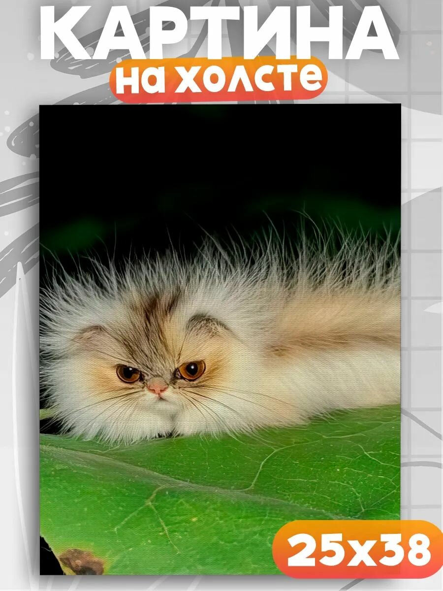 Картина на стену Котогусеница, на подрамнике, 1шт, 38х25 размер.