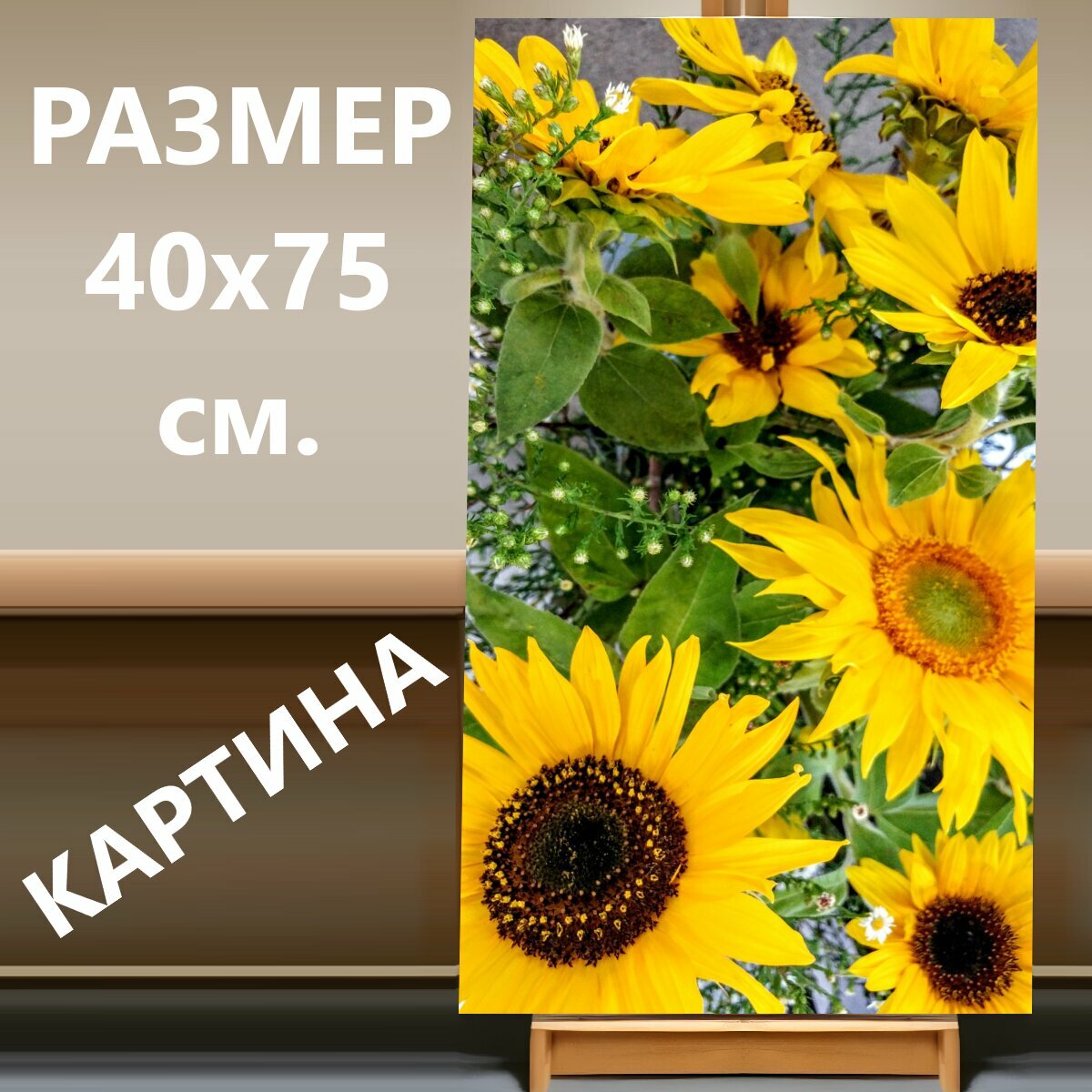 Картина на холсте "Солнечные подсолнухи Красивые подсолнухи на солнце. растение цветок подсолнечник природа сад" на подрамнике 75х40 см. для интерьера