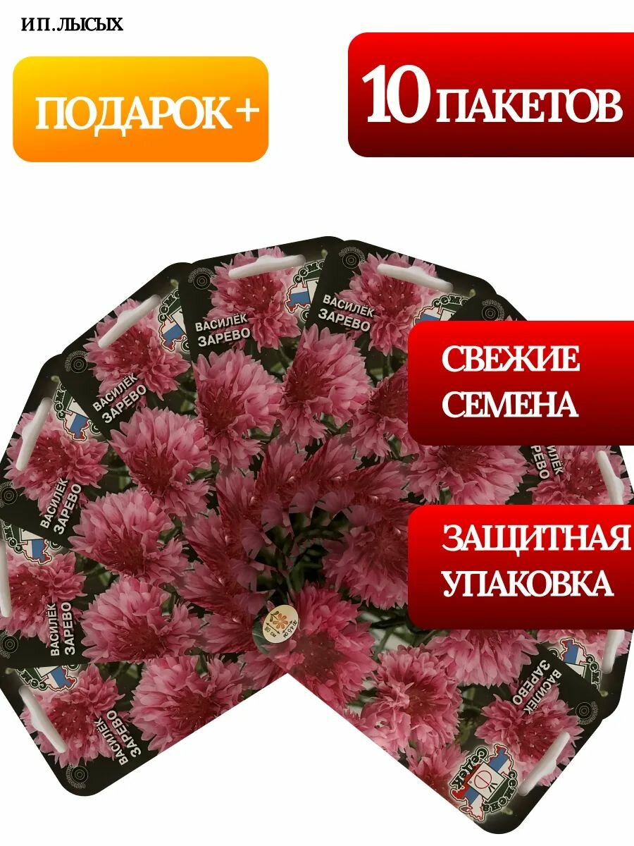 Семена Василек "Зарево"