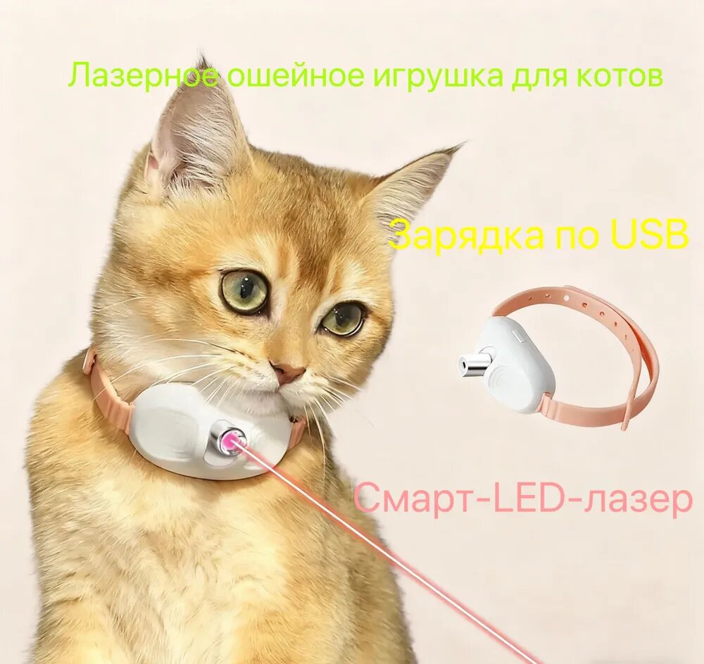 Лазерный ошейник для кота уникальный и забавный кошачий артефакт для вашего питомца