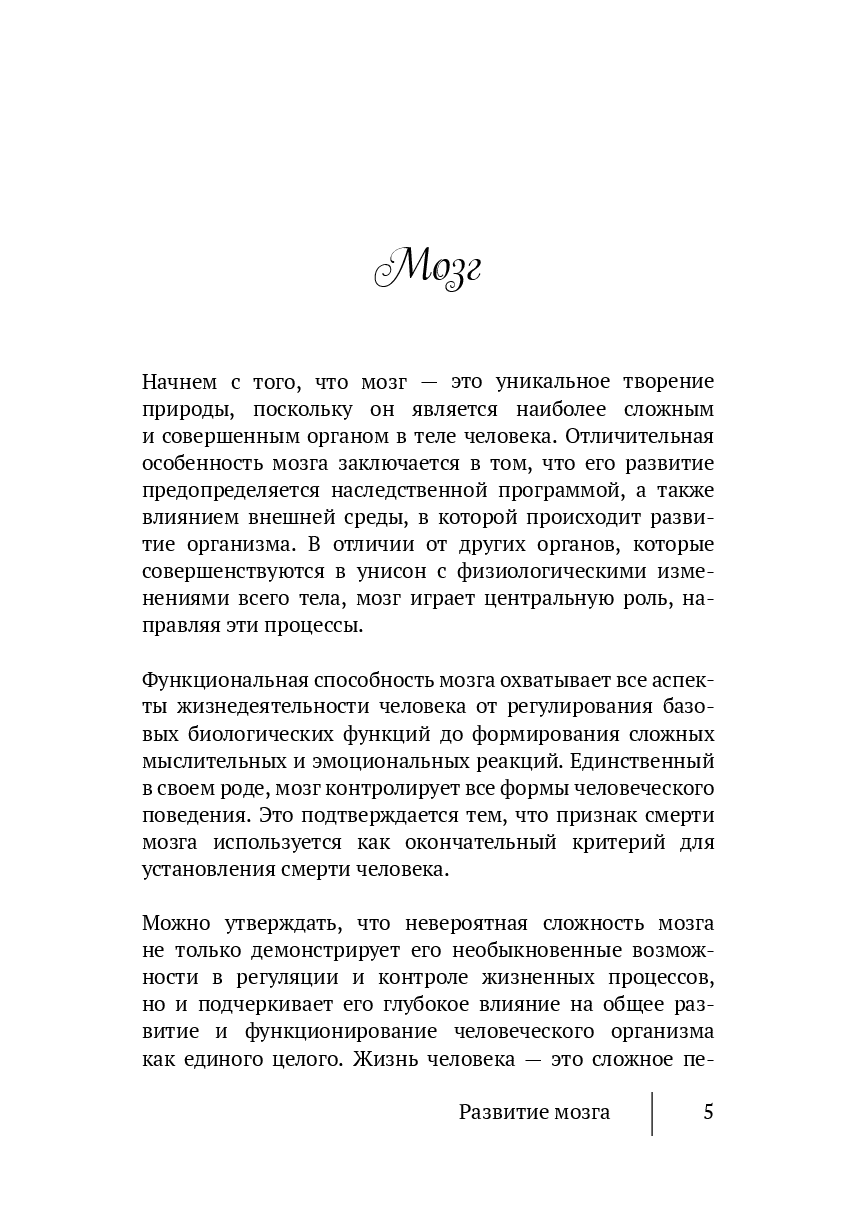 Развитие мозга — фото 1