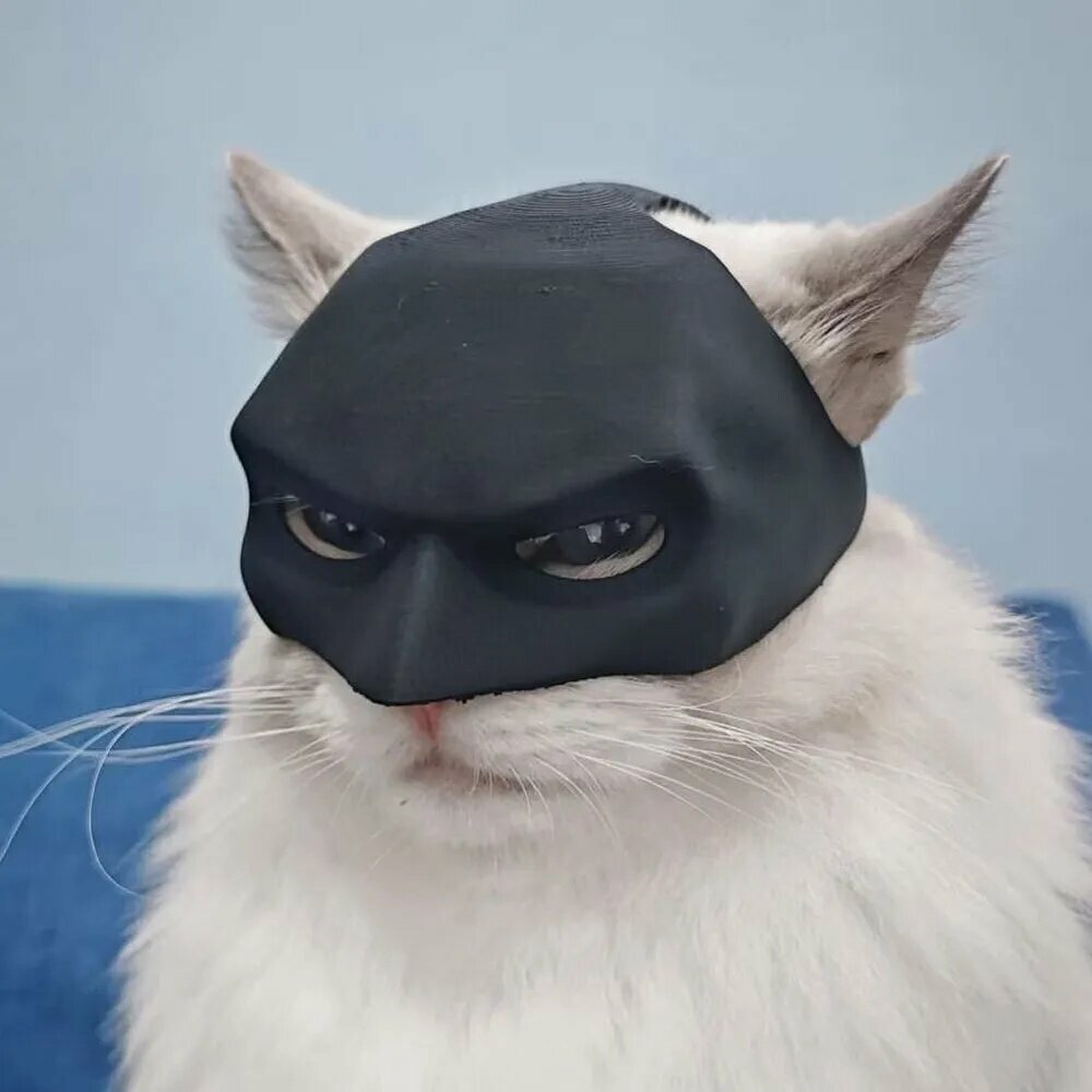 Маска для кота Бэтмен, кошки бэтмен, размер: 11 см, черный