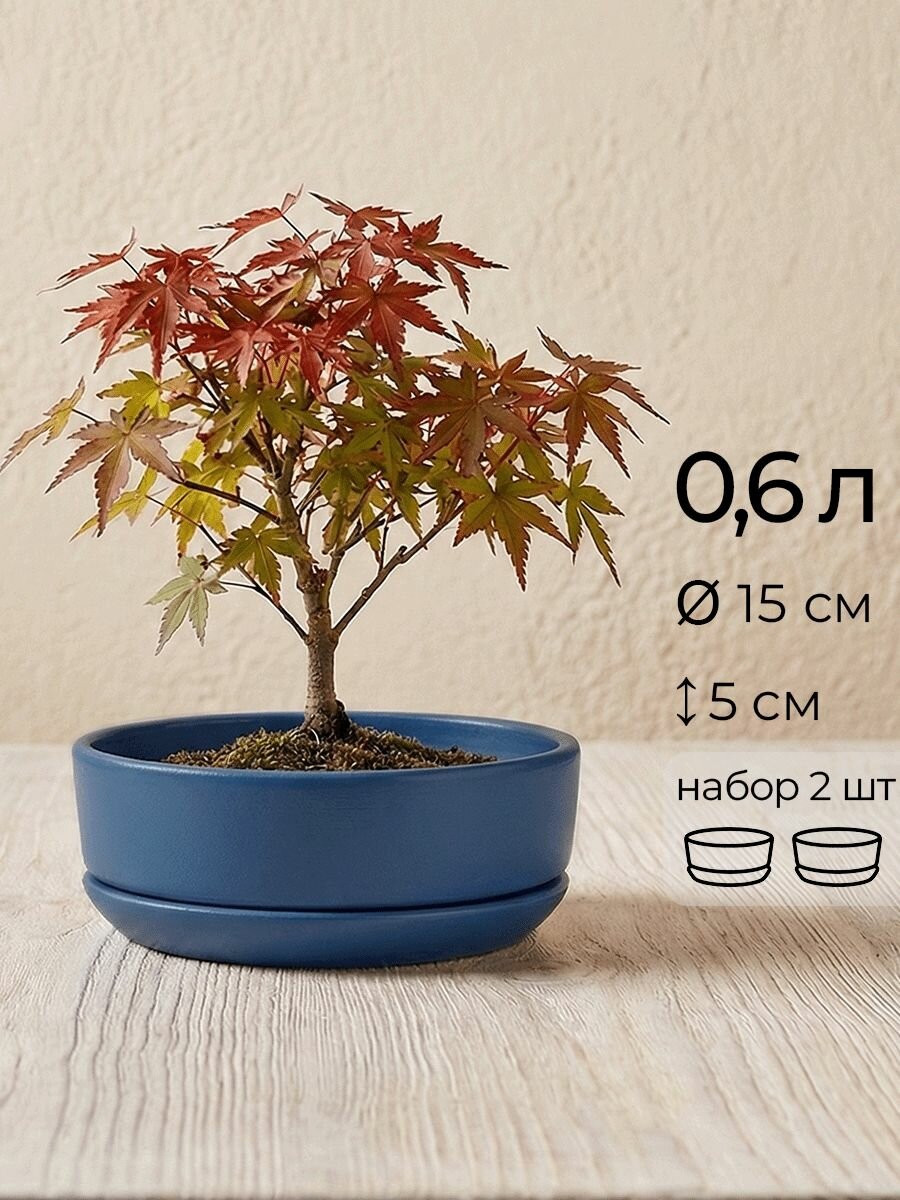 Бонсайница Горшок керамический для бонсай, кактусов и суккулентов Плошка для цветов круглая синий 0.6л набор 2 шт