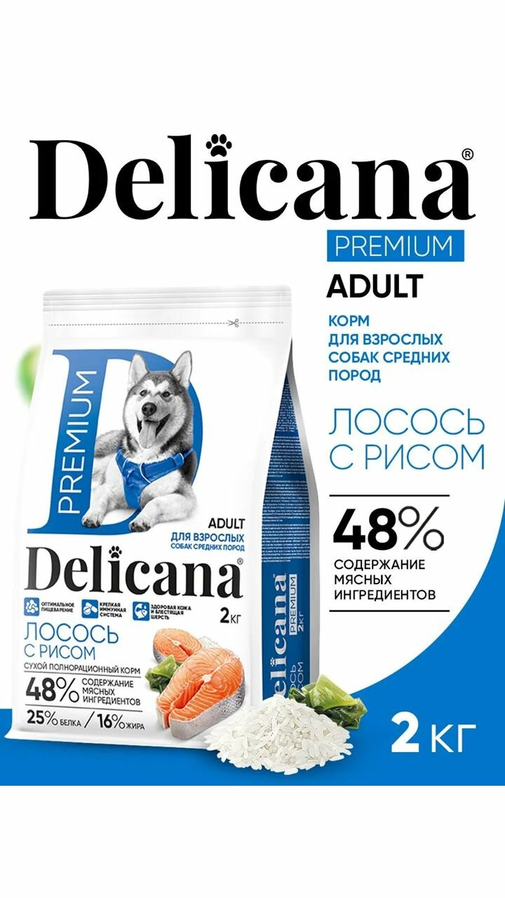 Корм сухой Delicana для собак средних пород Лосось с рисом 2 кг