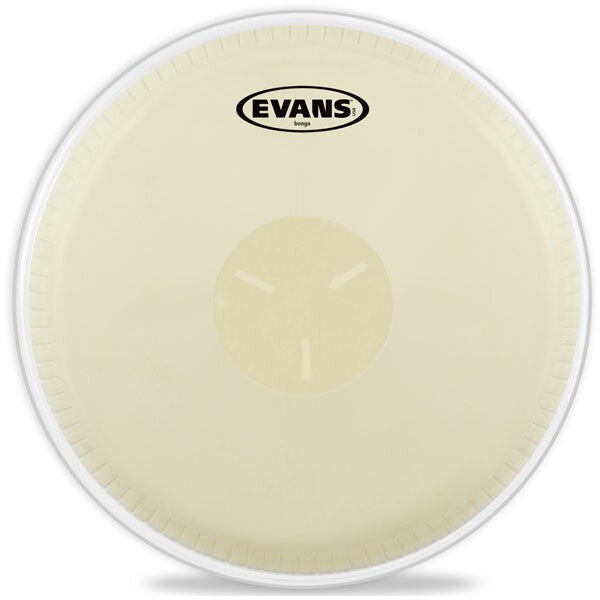 Пластик для барабана Evans EC1250E