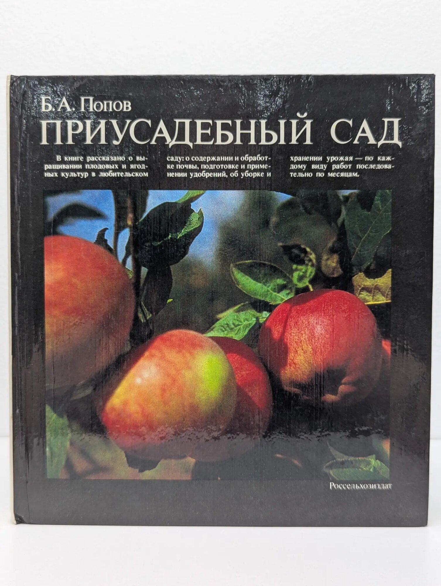 Приусадебный сад Попов Борис Александрович 1984