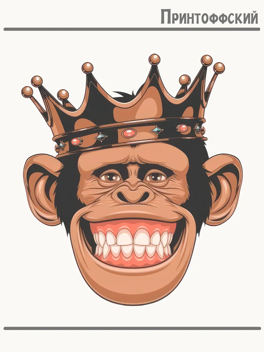 Термонаклейка для одежды и аксессуаров DTF-печать monkey обезьяна прикольные смешные