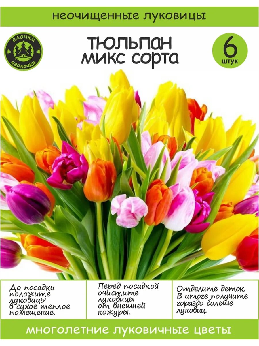 Тюльпан, Микс сортов 6 шт