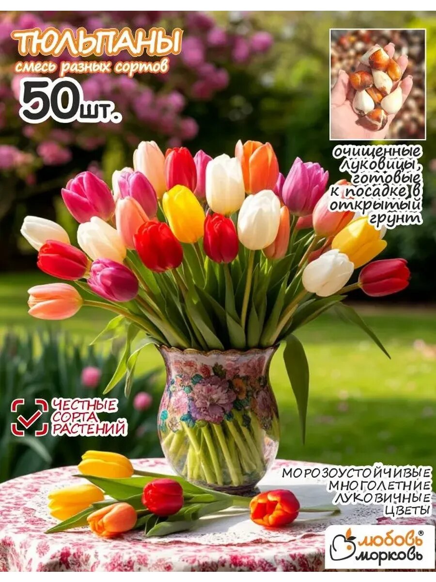 Тюльпан Луковицы крупные, Микс сортов, 50шт