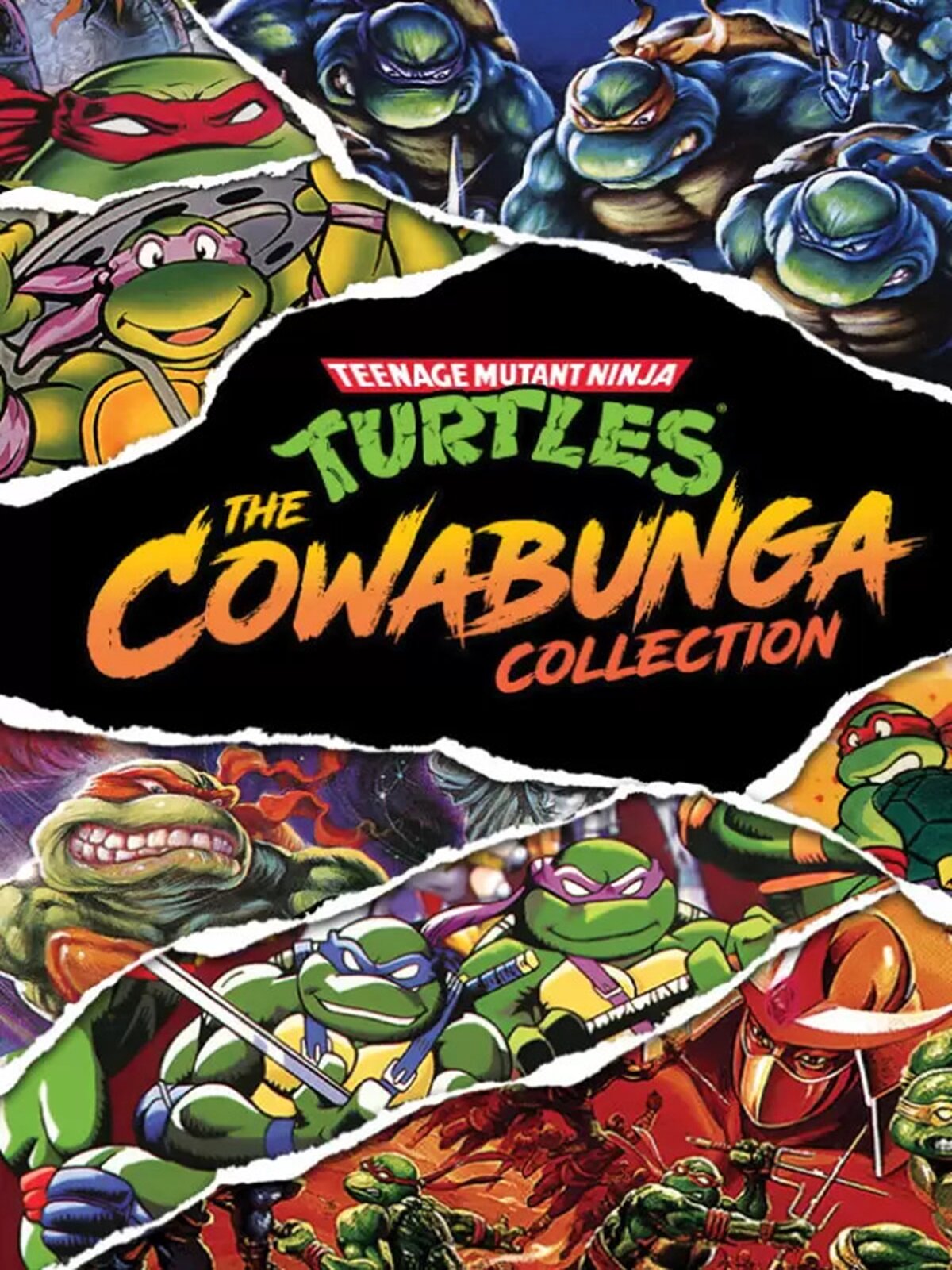 Teenage Mutant Ninja Turtles: The Cowabunga Collection Страны СНГ(Кроме РФ/РБ/КЗ)