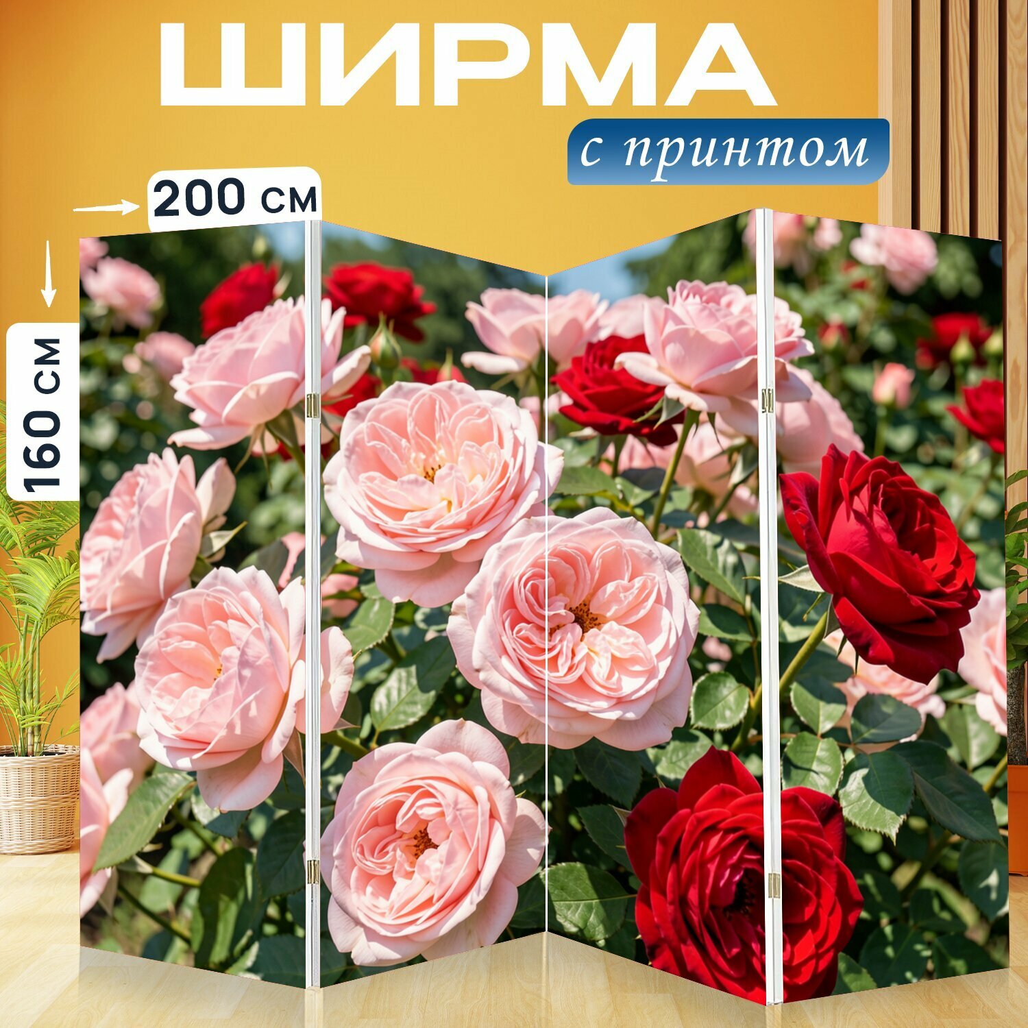 Ширма "Розовый сад с красными розами. Цветущий куст с крупными нежно-розовыми и алыми бутонами, сочная зелень." перегородка для зонирования комнаты с принтом 200x160 см. на холсте
