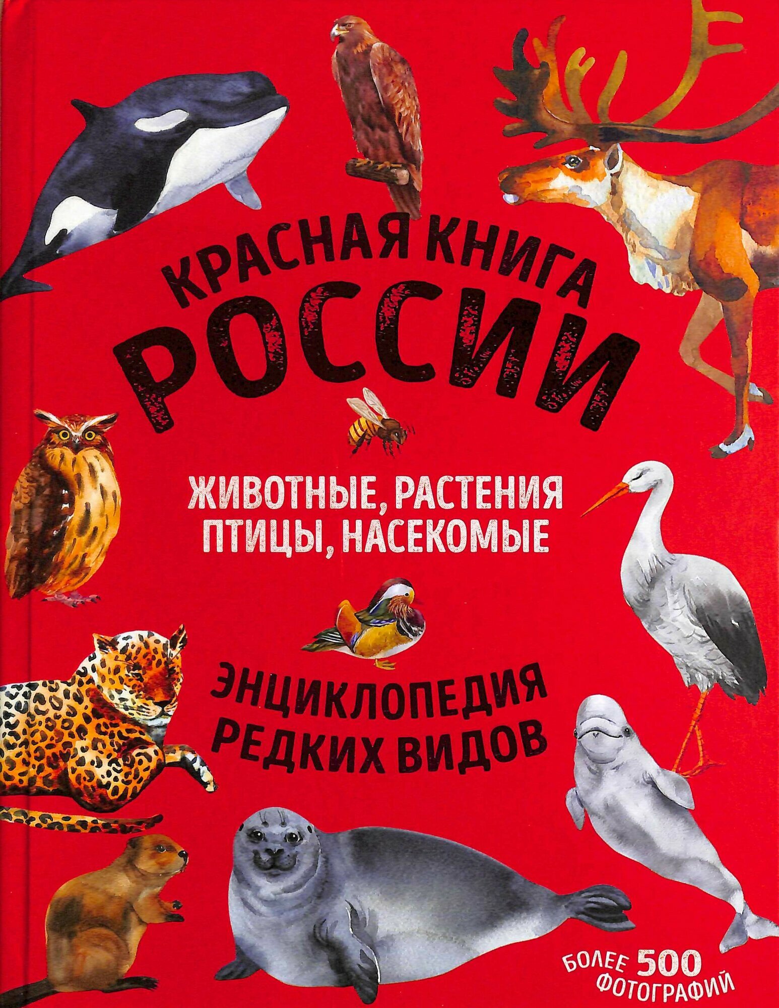 Красная книга России: все о жизни дикой природы (Лукашанец Д. А, Лукашанец Е. М.)
