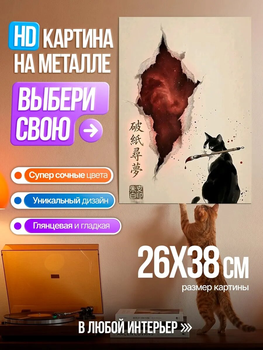 Картина на HD металле Черный кот и разрыв