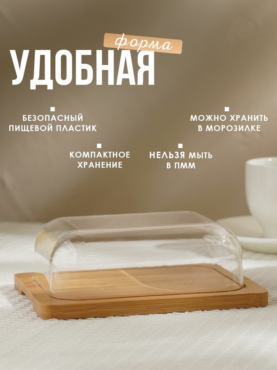 Масленка, сырница — фото 1
