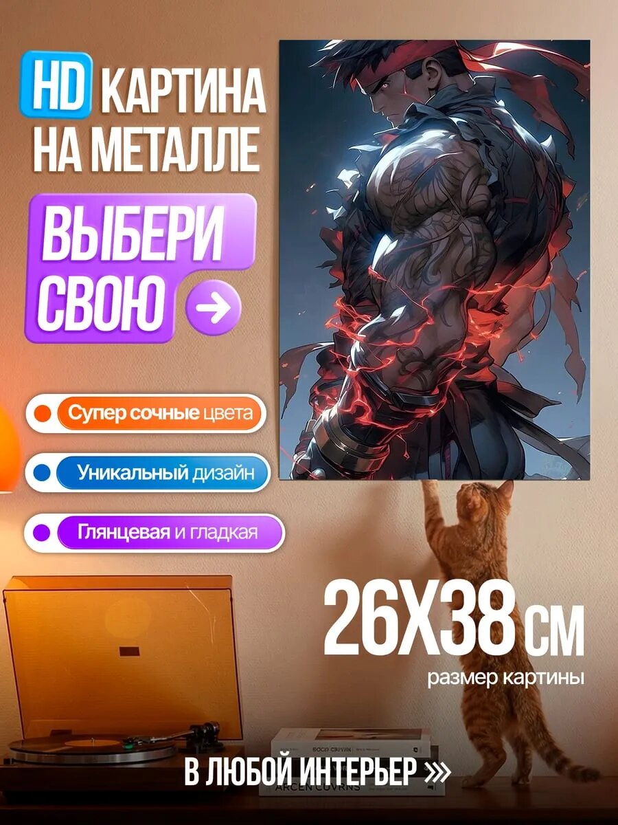 Картина на HD металле Рю боец