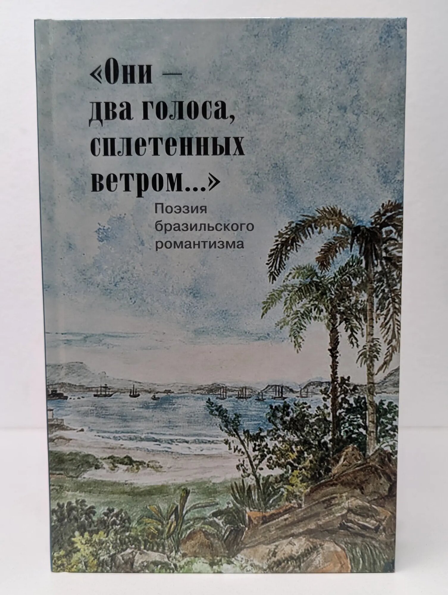 Они - два голоса, сплетенных ветром. Поэзия бразильского романтизма Сборник 2016