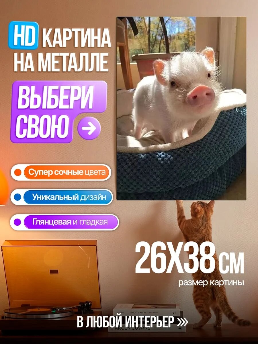 Картина на HD металле поросенок в лежанке