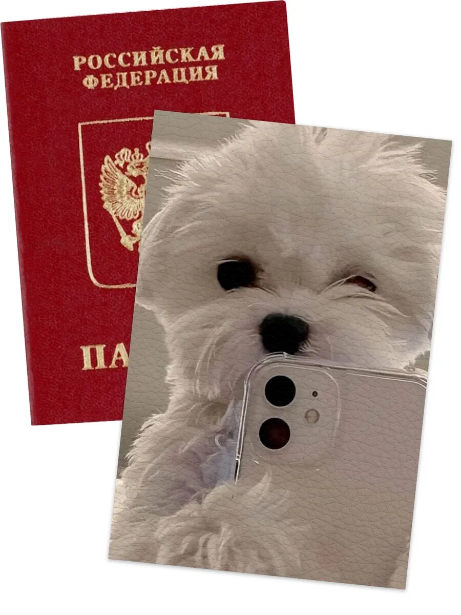 Обложка для паспорта NOOTO