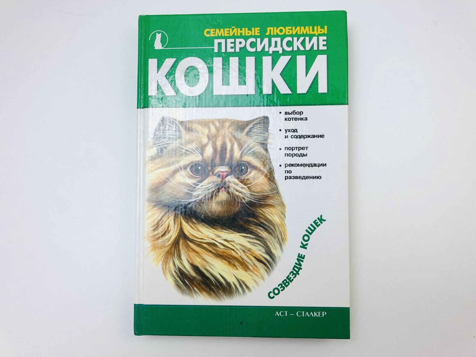 Персидские кошки