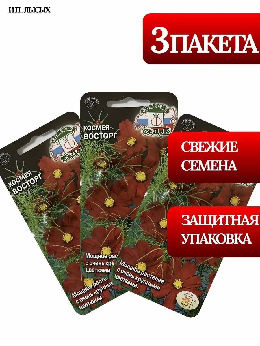 Семена Космея "Восторг"