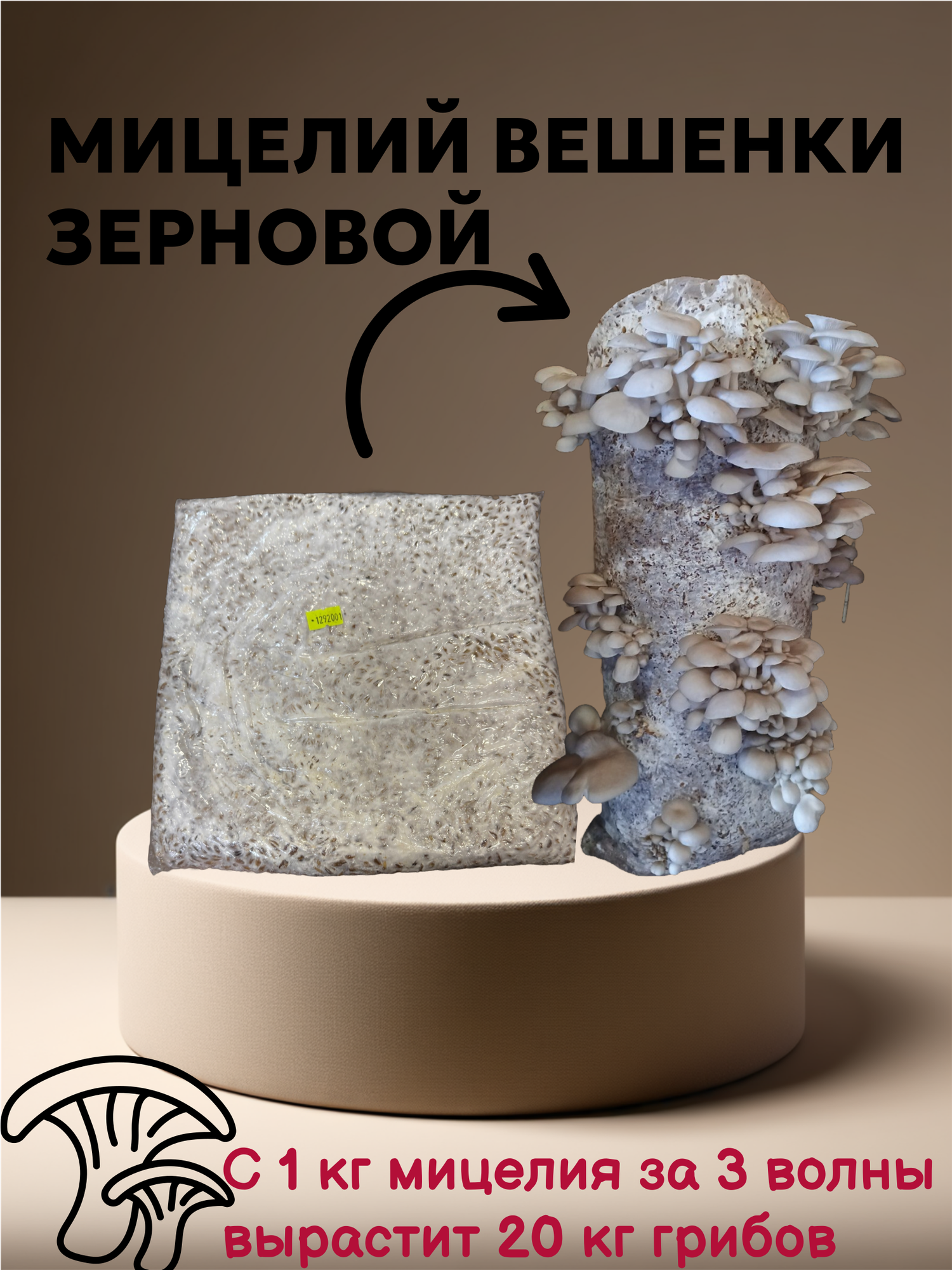 Мицелий вешенки зерновой (штамм M5) - 200 гр. 200 грамм