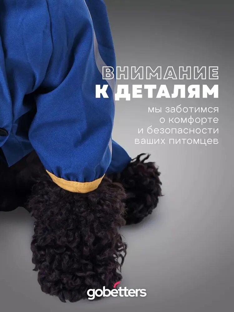 Одежда для собак дождевик — фото 1