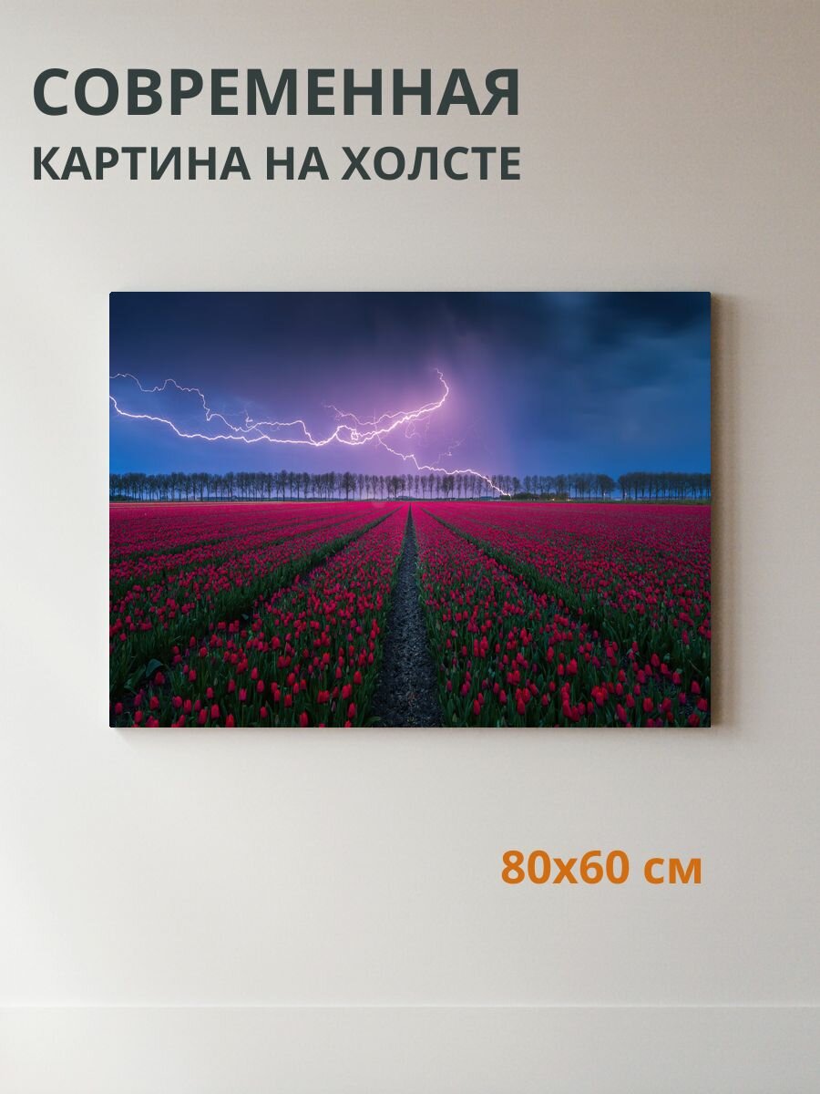 Картина на холсте Молния над полем тюльпанов 80x60 см