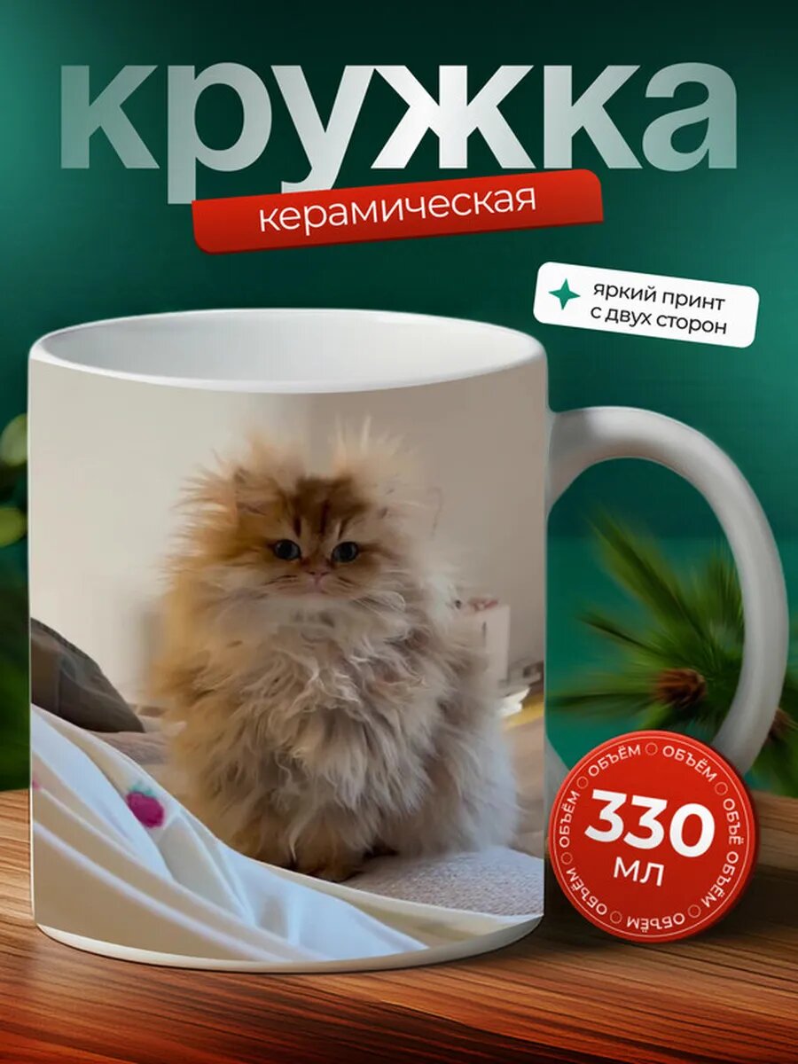 Кружка Американский рингтейл длинношерстный кот 38,