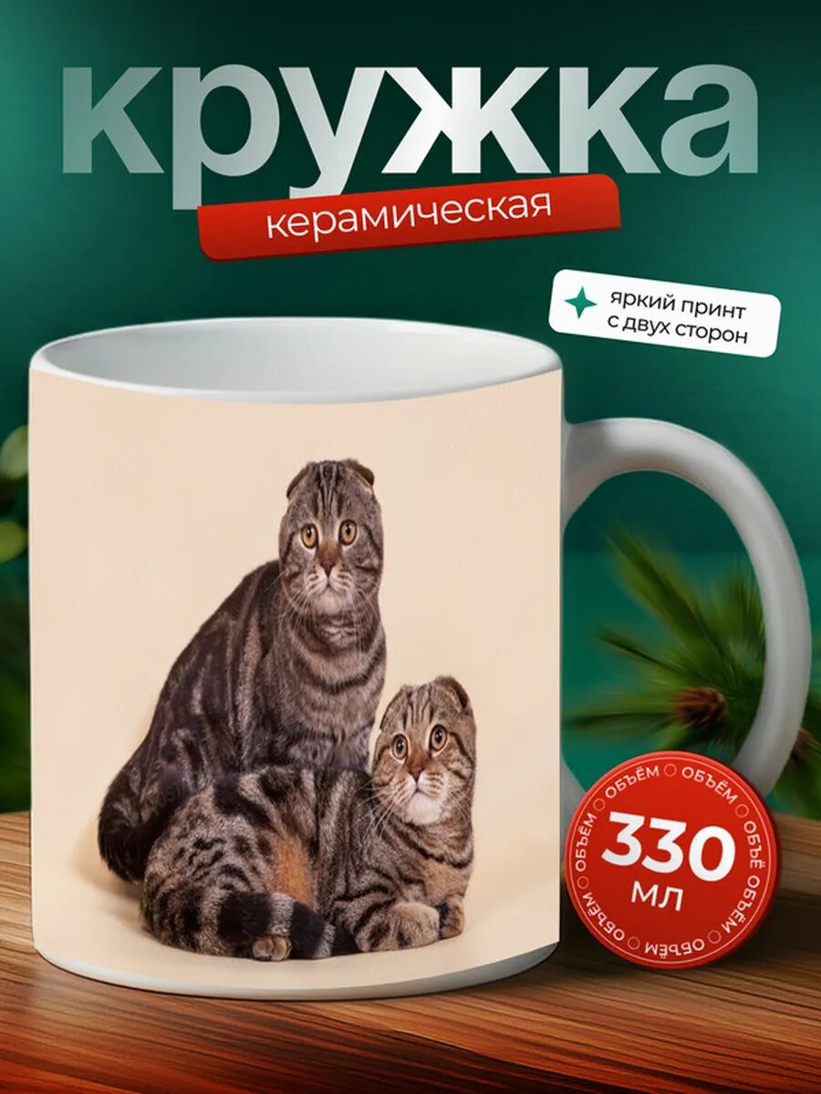 Кружка Американский рингтейл длинношерстный кот 45,